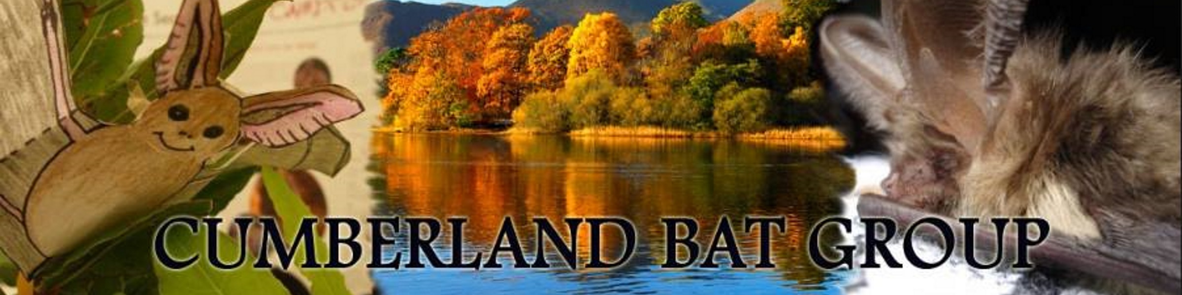 Welcome - Cumberland Bat Group